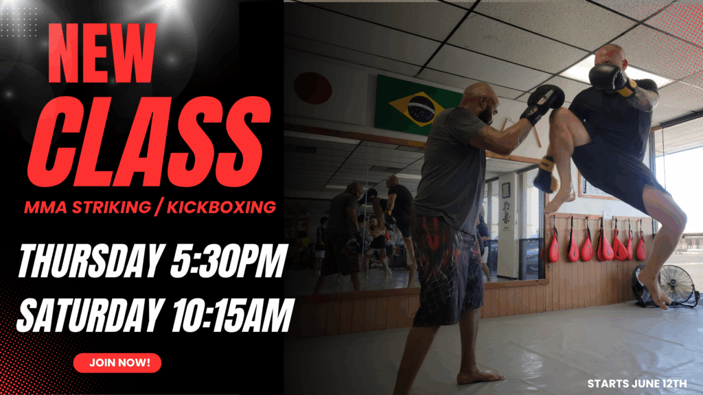 Level Up Your Training! New Kickboxing / MMA Striking Class Added at ...